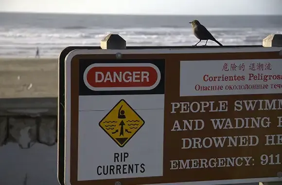 10 Beach Dangers You Should Watch Out For