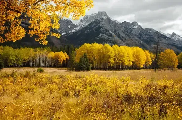 10 Best Fall Foliage Destinations in the World
