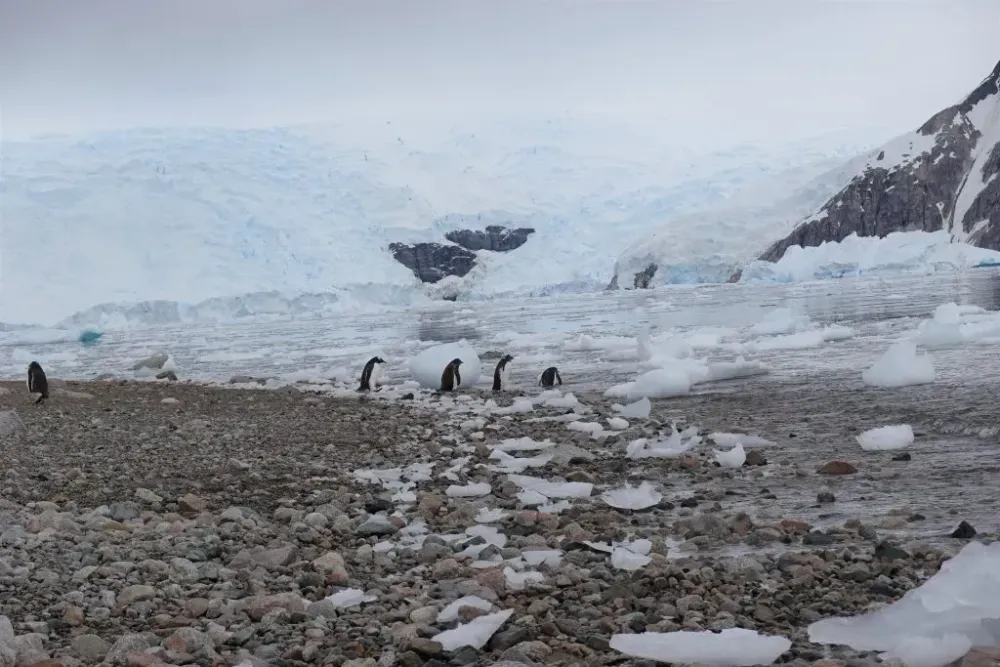 10 Days in Antarctica - SmarterTravel