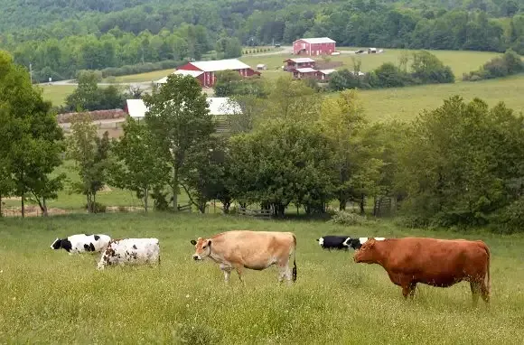 10 Great Farm Stays in America