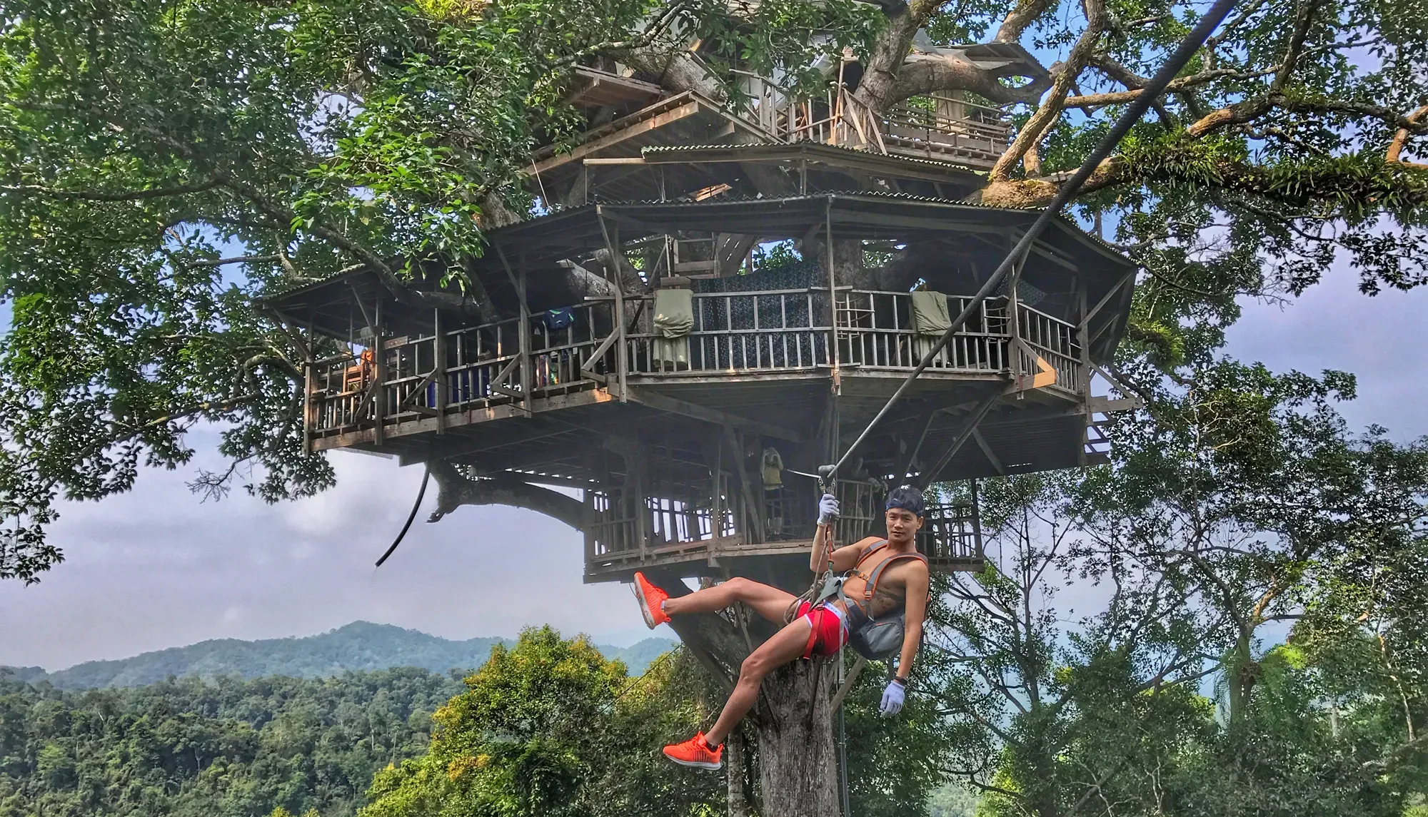 10 Most Incredible Tree House Hotels in the World