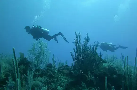 10 Secret Mexican Islands You Can Have All to Yourself