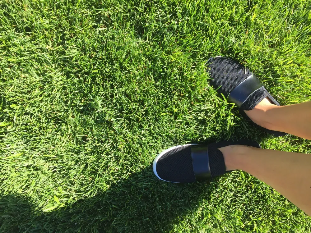 shoes without socks called