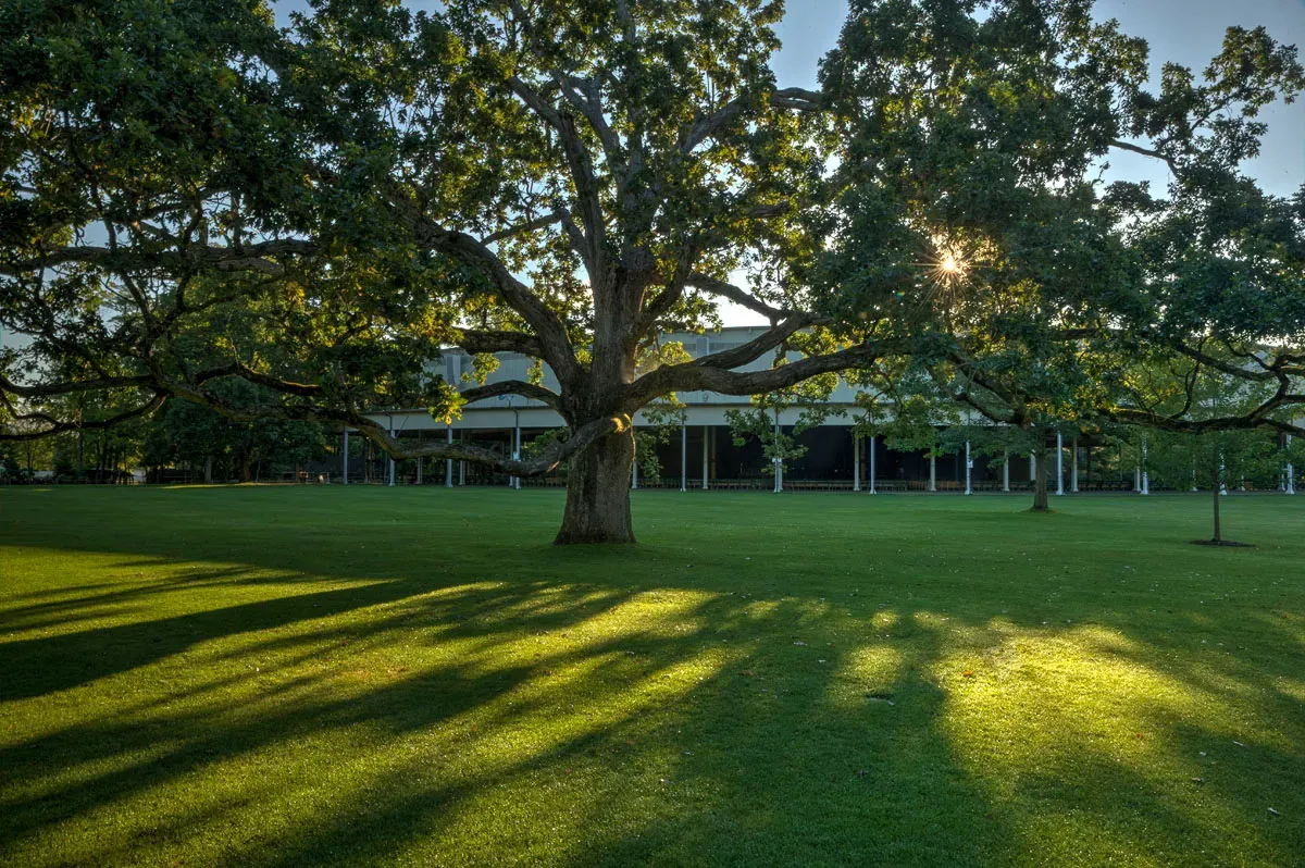 10 Tips for Visiting Tanglewood in Lenox, Massachusetts | SmarterTravel