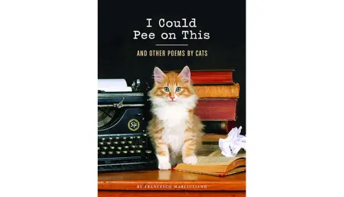 11 Funny Books to Read on Your Next Trip