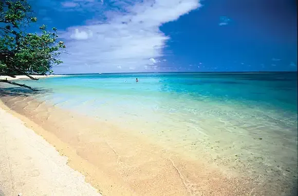 20 Amazing American Beaches