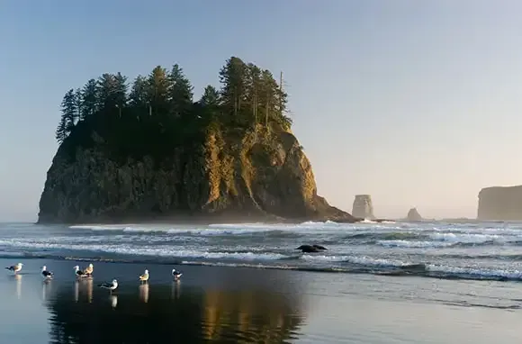 20 Amazing American Beaches