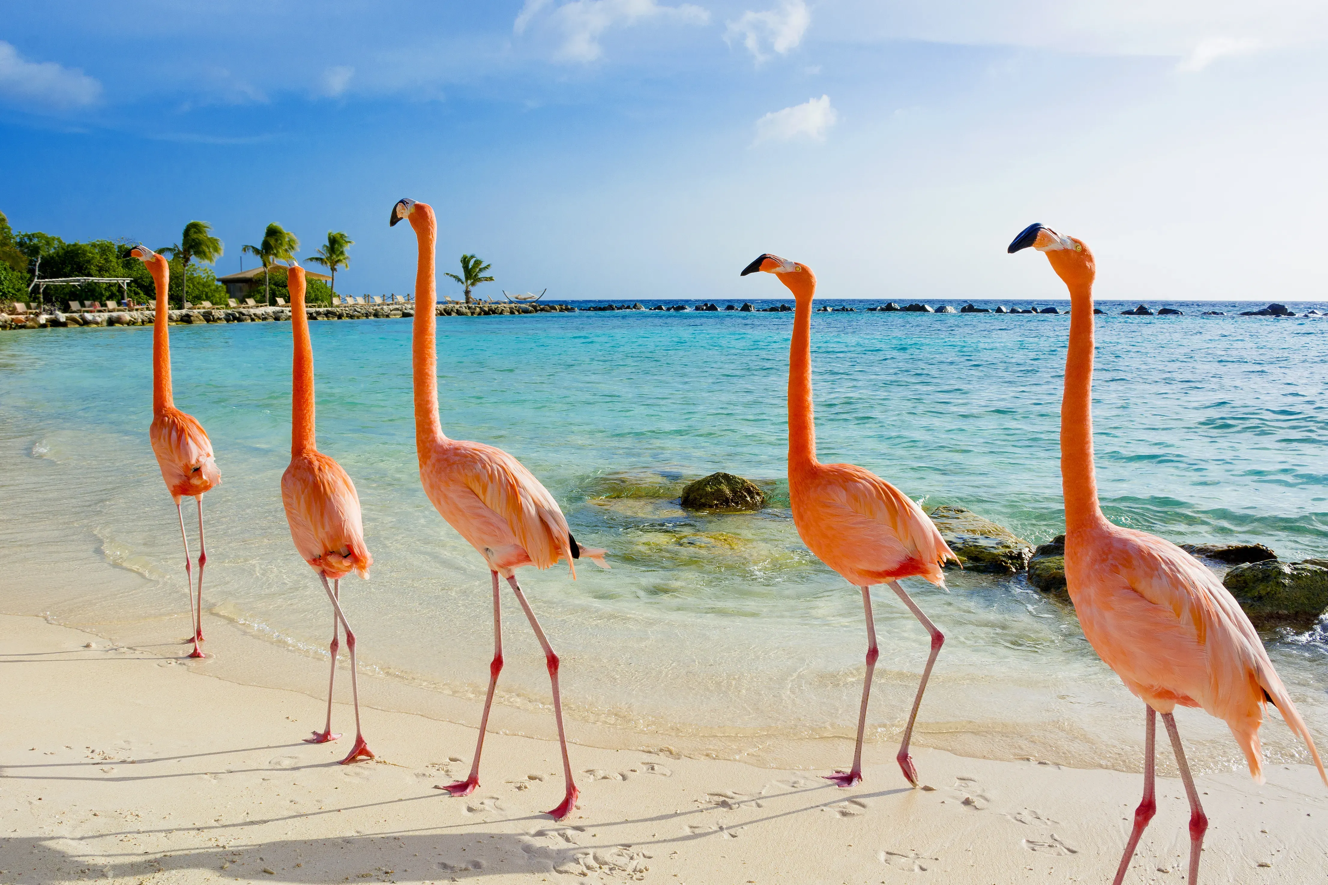 Aruba Travel Safety Tips You Need to Know