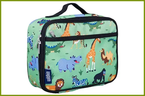 9 Best Lunch Boxes for Kids