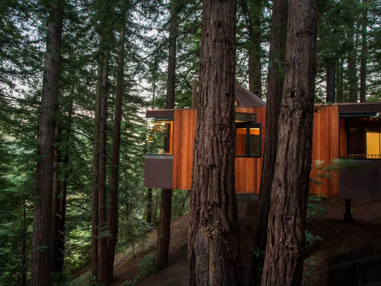 8 Most Magical Treehouse Hotels in the U.S. 2021