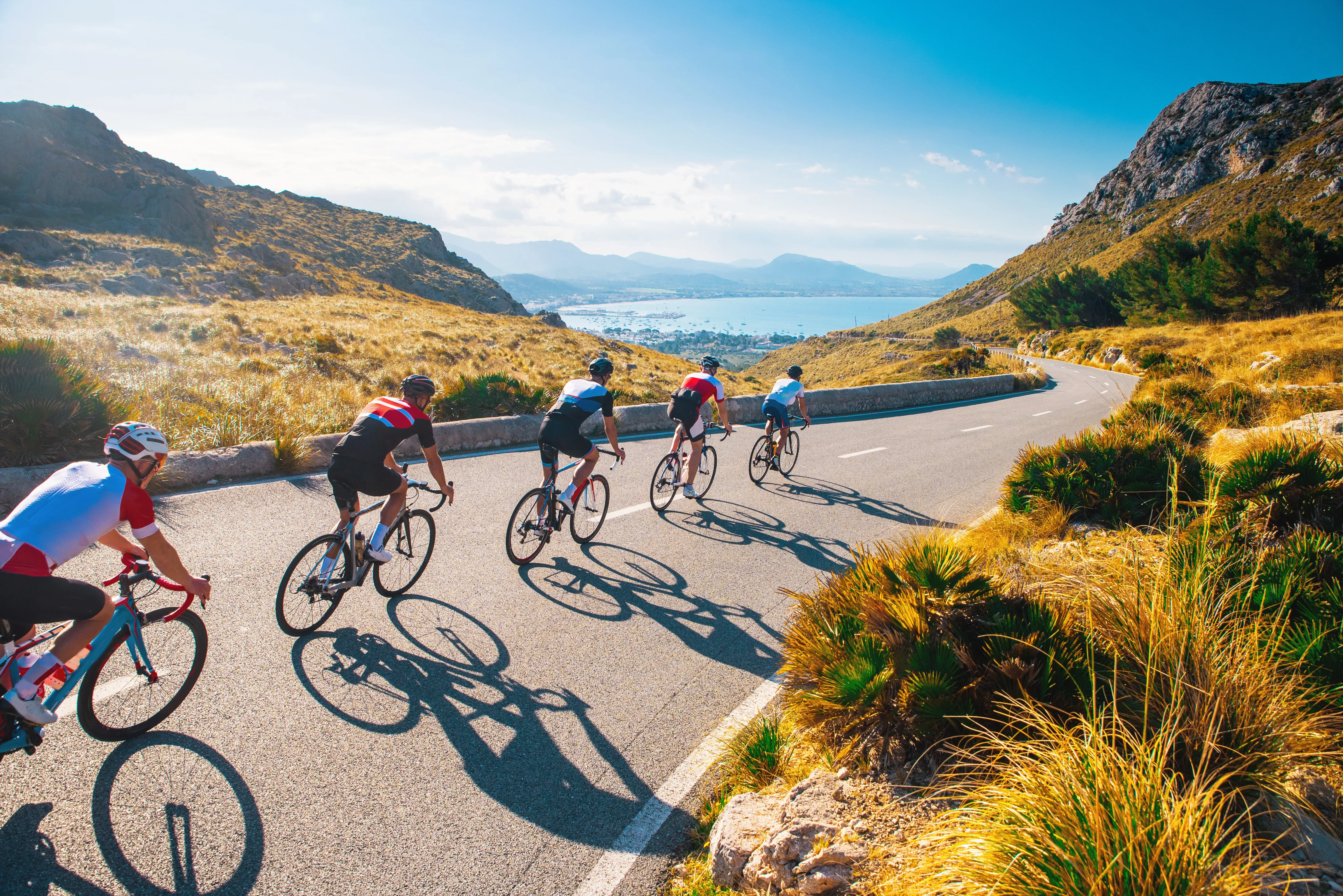 The Best Tour Companies