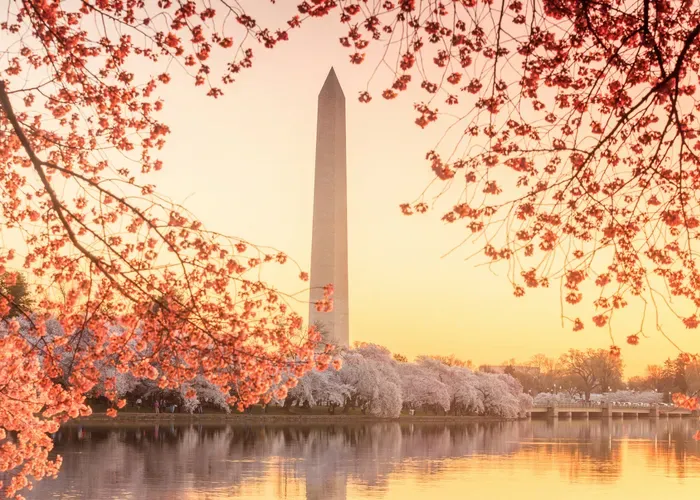 23 Must-See Washington, D.C. Attractions