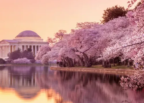 8 Fun Things to Do in Washington, D.C.