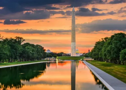8 Fun Things to Do in Washington, D.C.