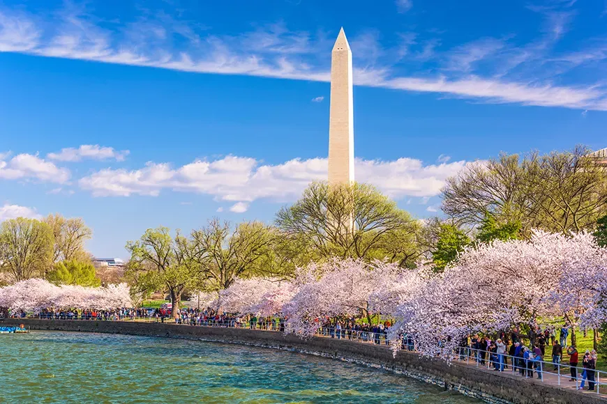 9 Incredible Spring Flower Blooms Worth the Trip