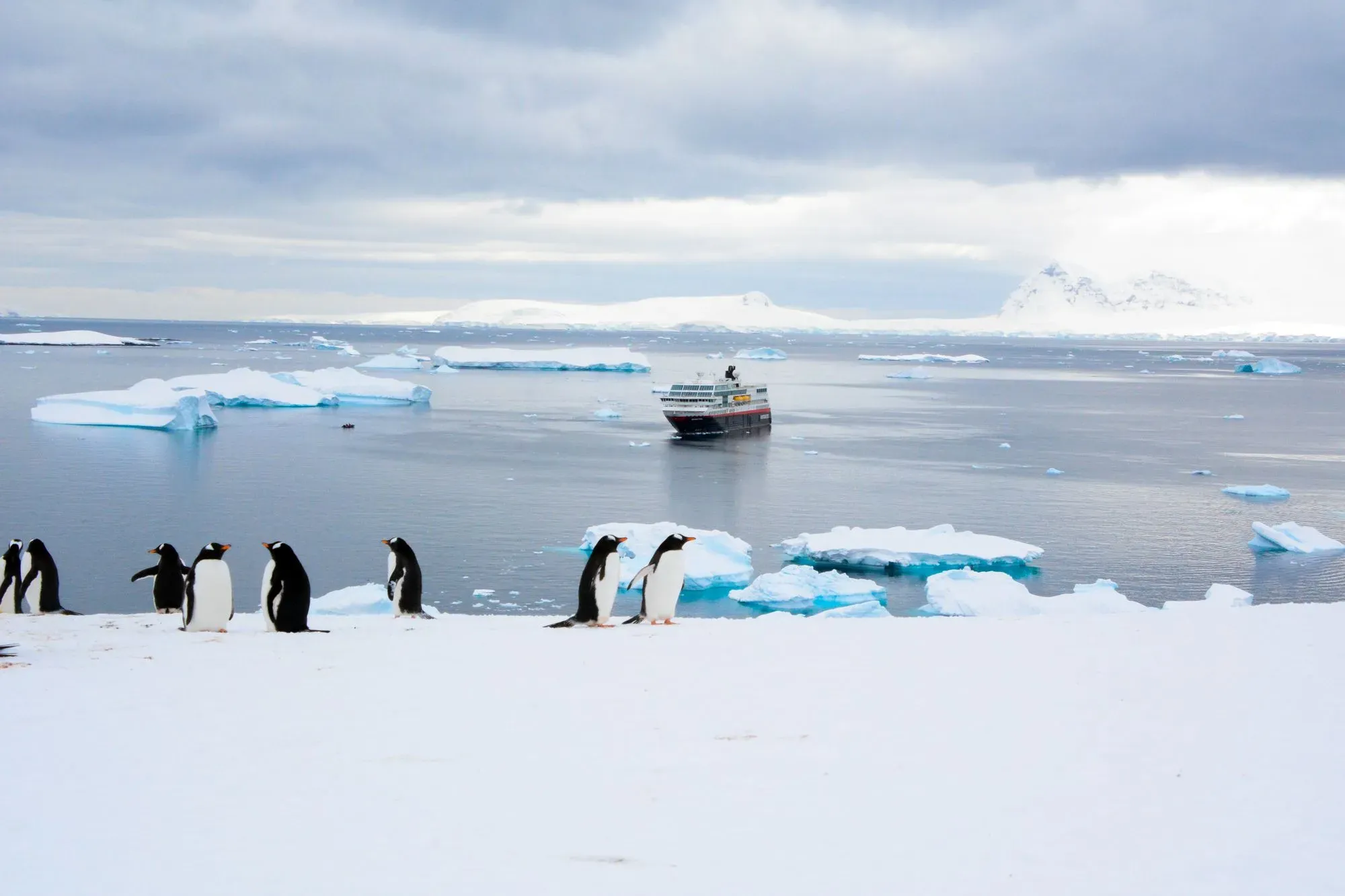 Antarctica: Cruising to the Bottom of the World