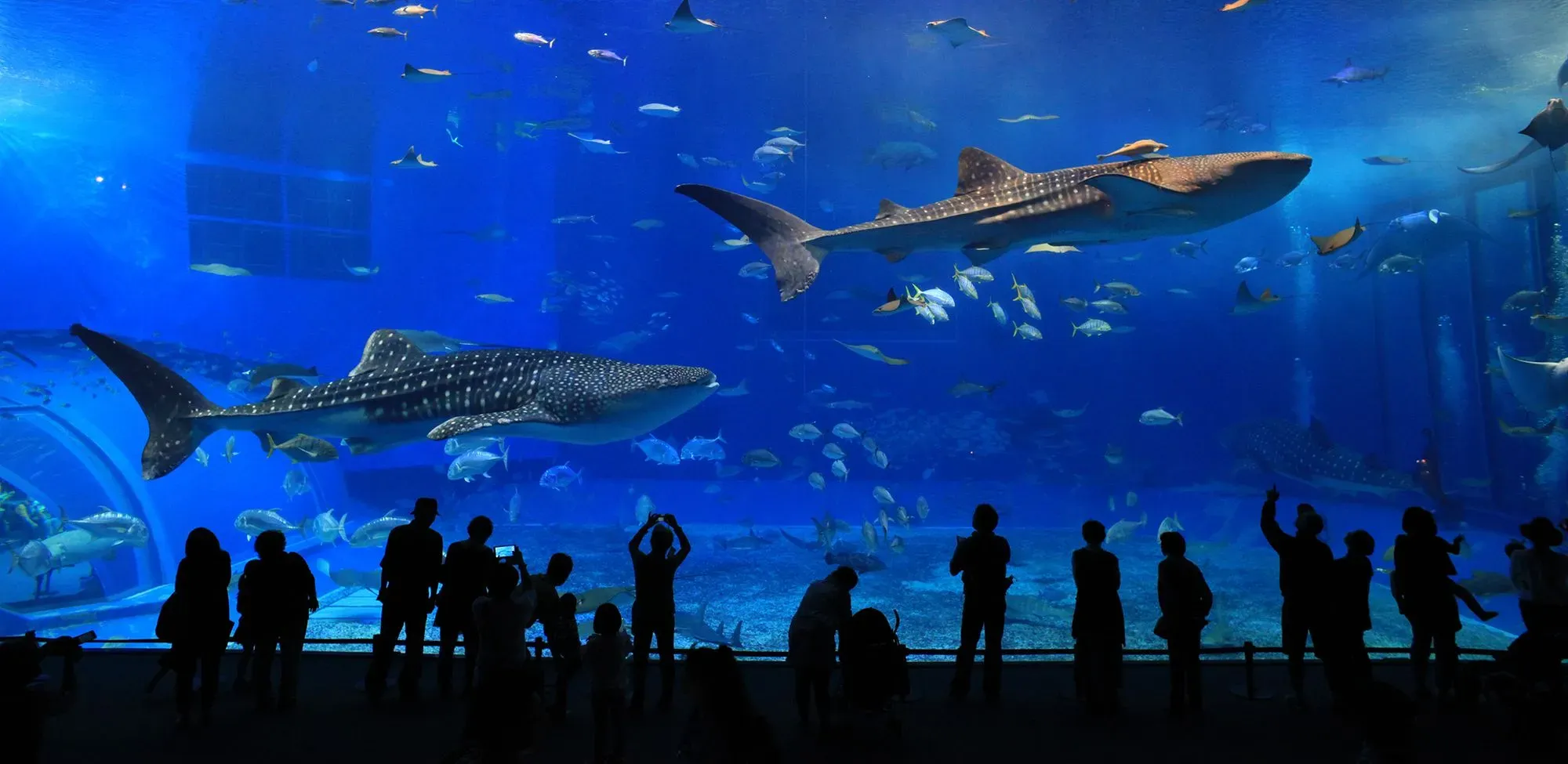 Atlanta with Kids: 13 Fun Family-Friendly Activities
