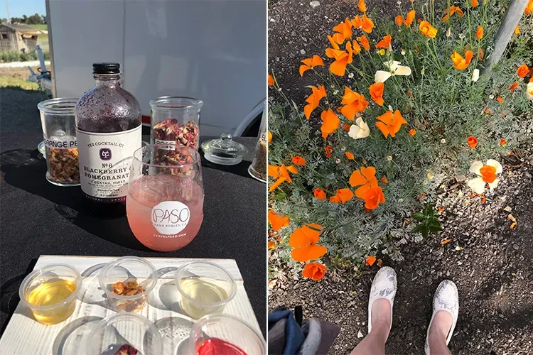 San Luis Obispo: California’s Secret Beachside Wine Region