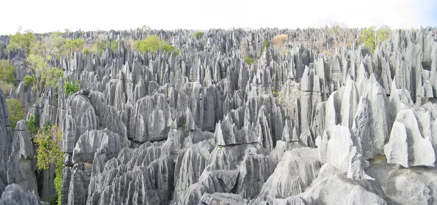 Daily Daydream: Stone Forest of Madagascar