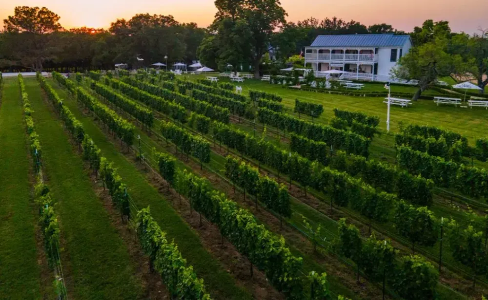 Fredericksburg, Texas: Wine Country Charm, History, and Hill Country ...