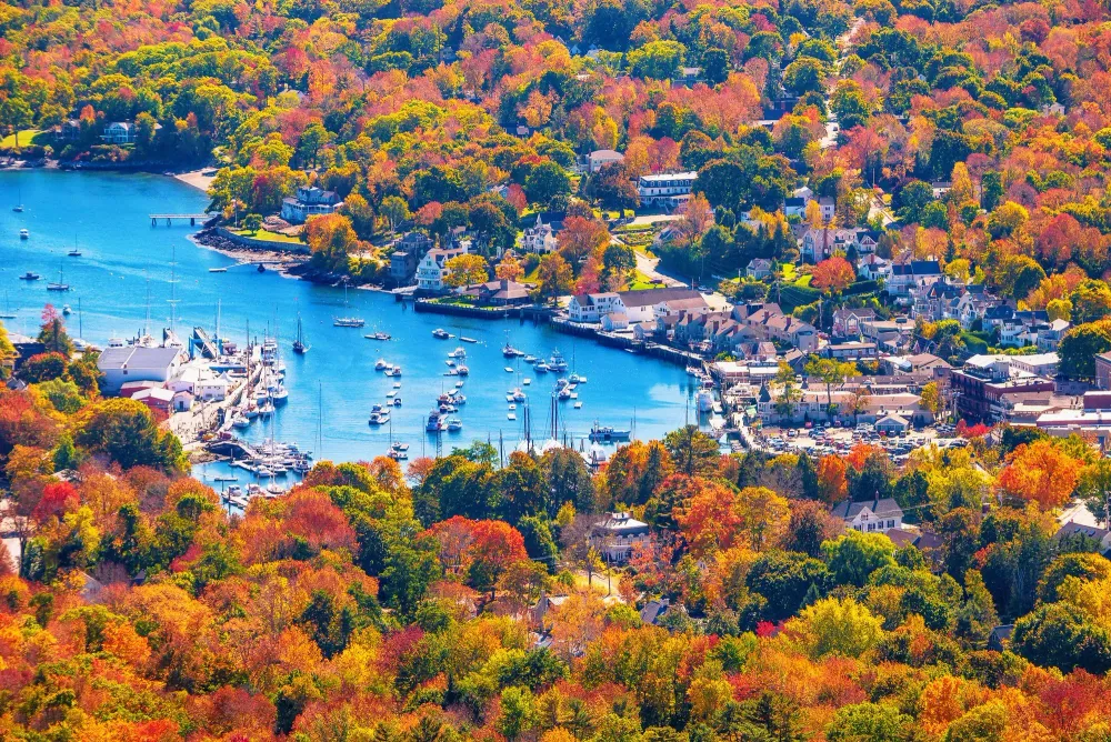 Here's When Fall Foliage Colors Are Predicted to Peak in Your State