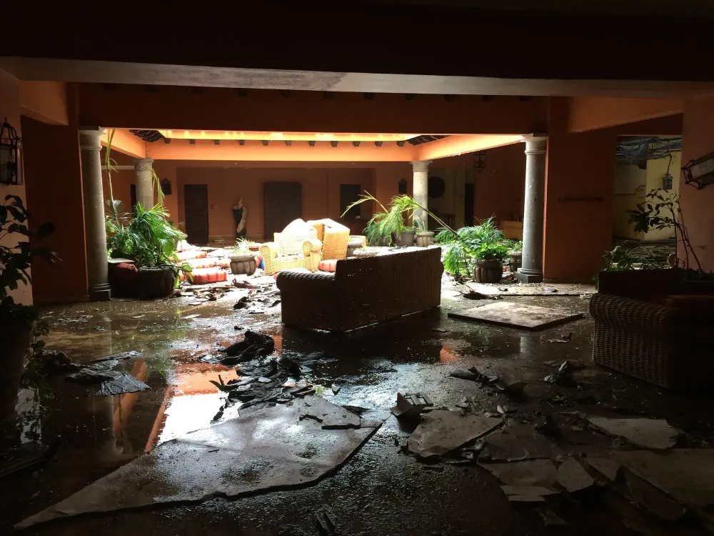 How to Survive a Hurricane in a Hotel Room