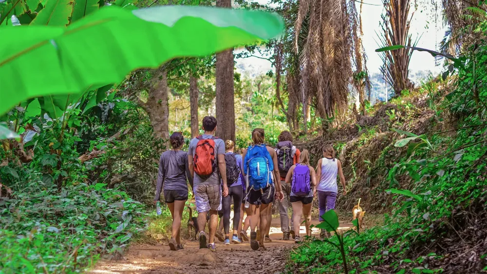 backpacking group tours