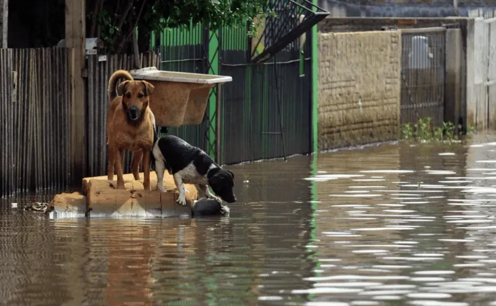 Safe Travel Tips for Brazil: Warnings & Dangers