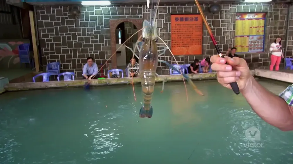 Taipei Shrimp Fishing