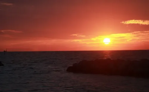 The 10 Best Beaches in Tampa