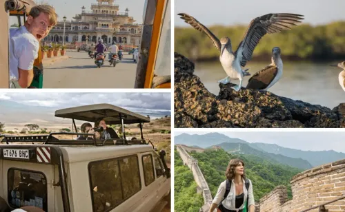 The Best Tour Companies