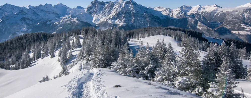 Winter Ranger-Led Activities in the National Parks
