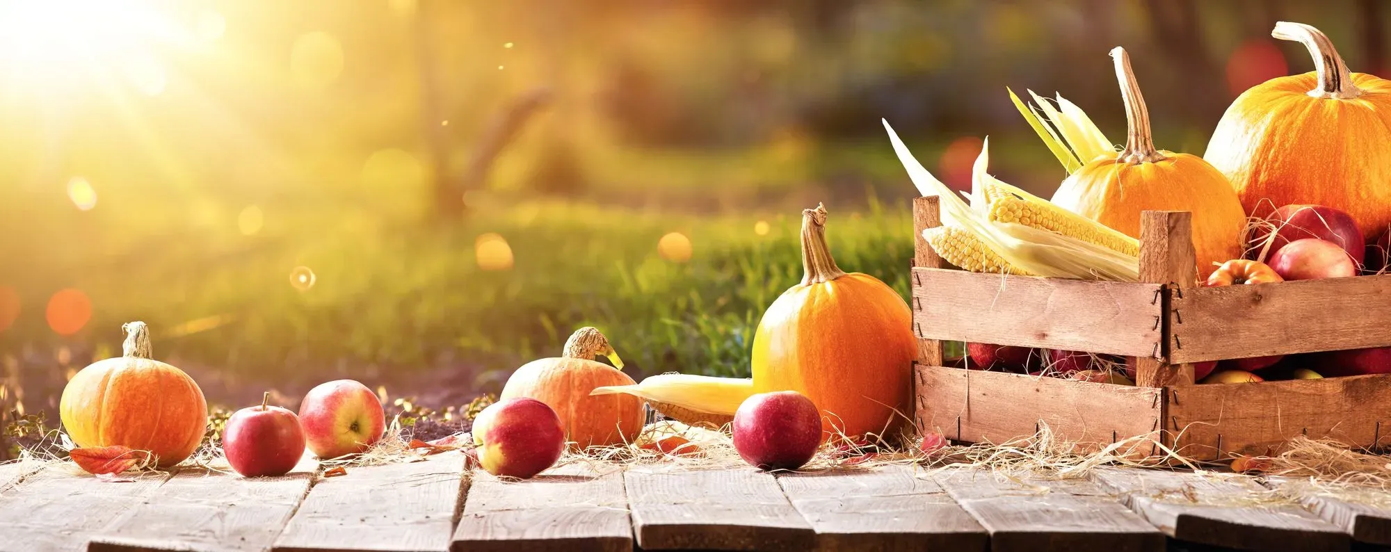 The 7 Best Fall Food Festivals in the US | SmarterTravel