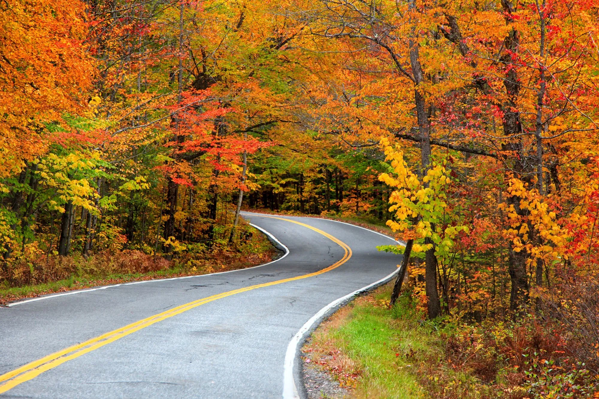 The 7 Best U.S. Cities and Towns to See Fall Foliage in 2024