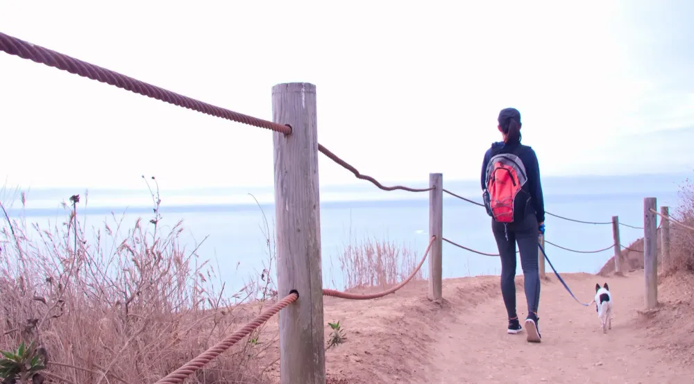 The Best Walking and Running Gear for Exercising Outside