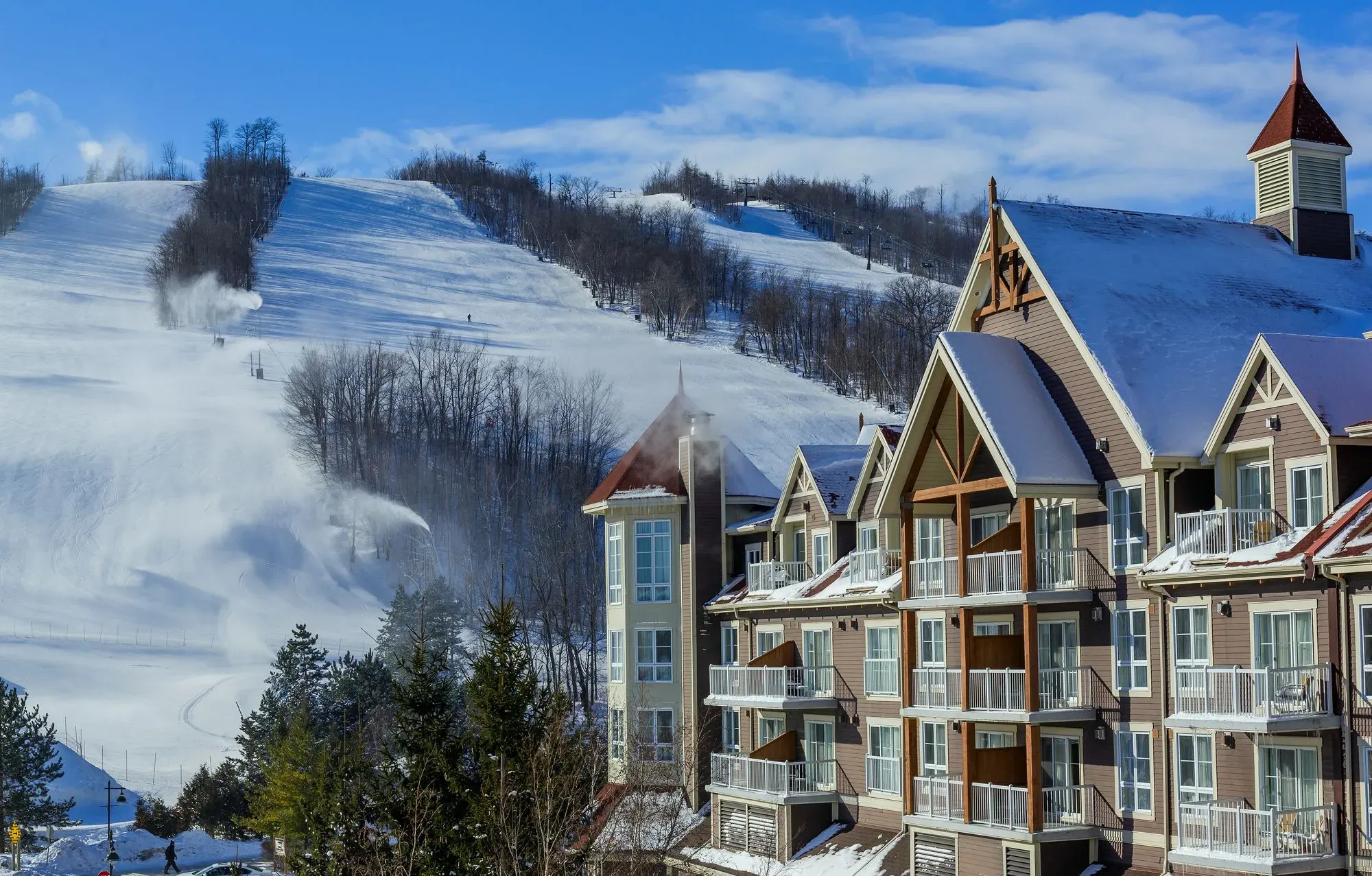 Things to Do in Collingwood, Canada