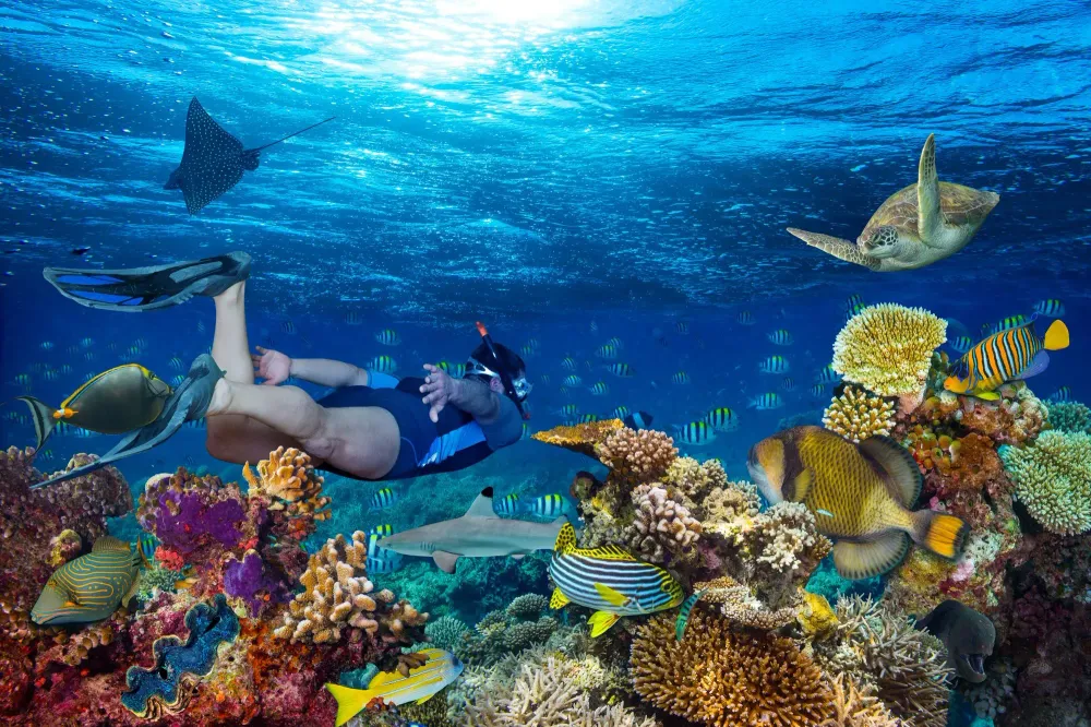 Wildlife Vacations: The 10 Ultimate Trips for Animal Lovers