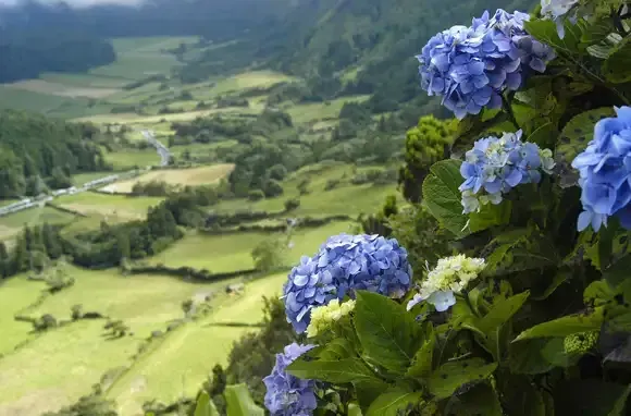 World's Best Places to See Beautiful Flowers
